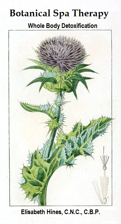 BOTANICAL SPA THERAPY: Whole Body Detoxification That Can Change Your ...